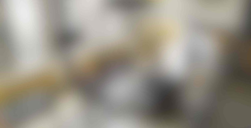 Developement – Hello People